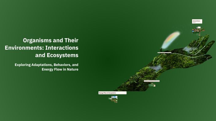Organisms and Their Environments: Interactions and Ecosystems by Nada ...