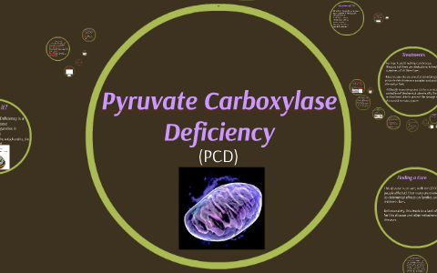 Pyruvate Carboxylase Deficiency by Liz Balint on Prezi