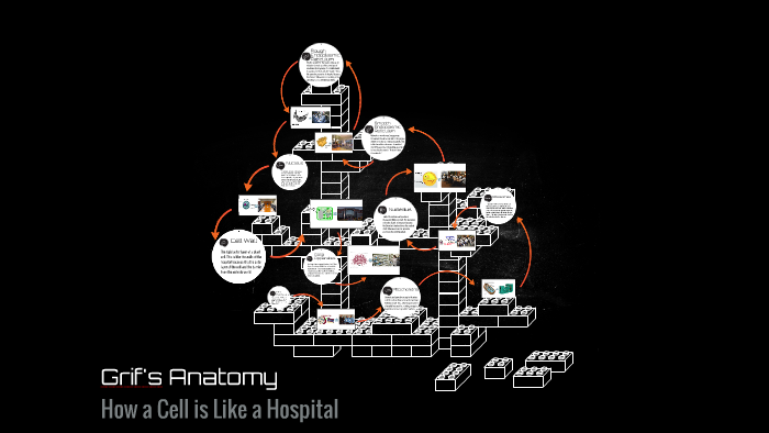 How a Cell is Like a Hospital by George Gershwin on Prezi