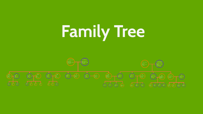 Family Tree by Areeb Syed on Prezi