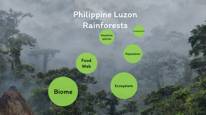 Philippine Luzon Rainforests by Jaiden Agie on Prezi
