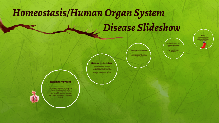 Homeostasis /Human Organ System Disease Slideshow by Michael Ellison on ...