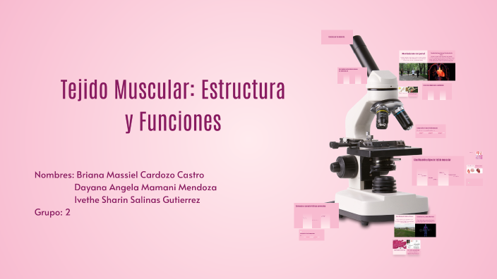 Tejido Muscular: Estructura y Funciones by Bri Cardozo on Prezi