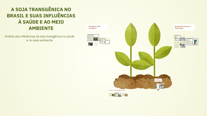 A SOJA TRANSGÊNICA NO BRASIL E SUAS INFLUÊNCIAS À SAÚDE E AO MEIO ...