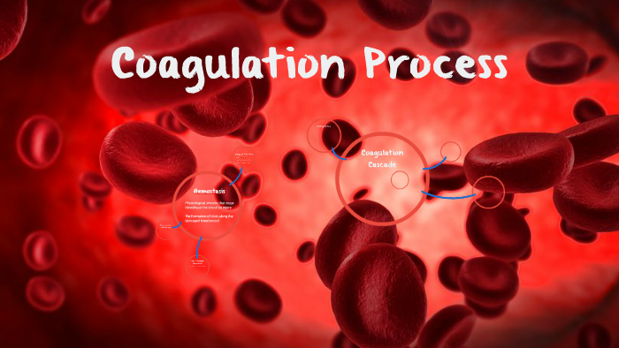 Coagulation Process by Jessica Escutia on Prezi