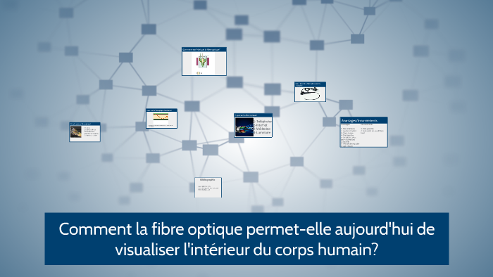 Comment la fibre optique permet-elle aujourd'hui de visualis by Yannis Mauban