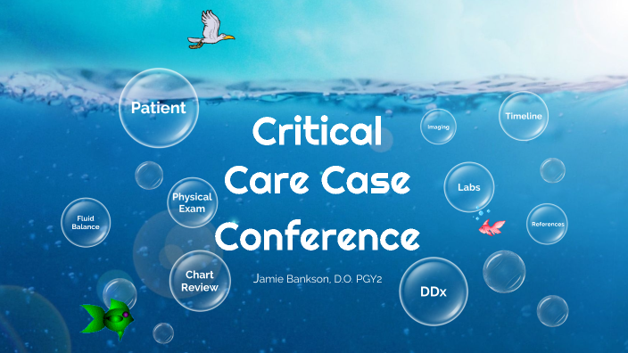 CCC Presentation by Jamie Bankson on Prezi