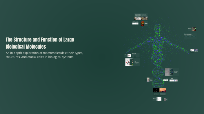 The Structure and Function of Large Biological Molecules by Hasan Kart ...