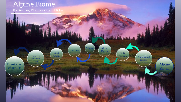 Alpine Biome Climate
