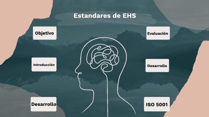 Estandares de EHS by SKF Mexico on Prezi