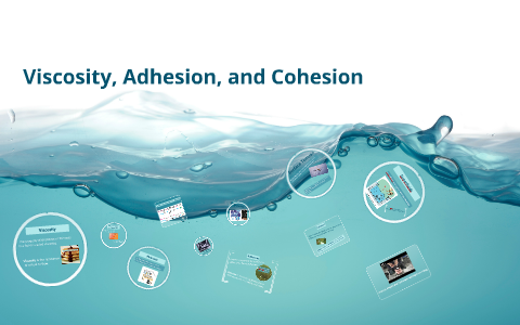 Viscosity, Adhesion, and Cohesion by AAA AAAA on Prezi