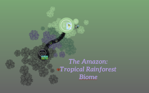 The Amazon: Tropical Rainforest Biome by Isabella Pullen on Prezi