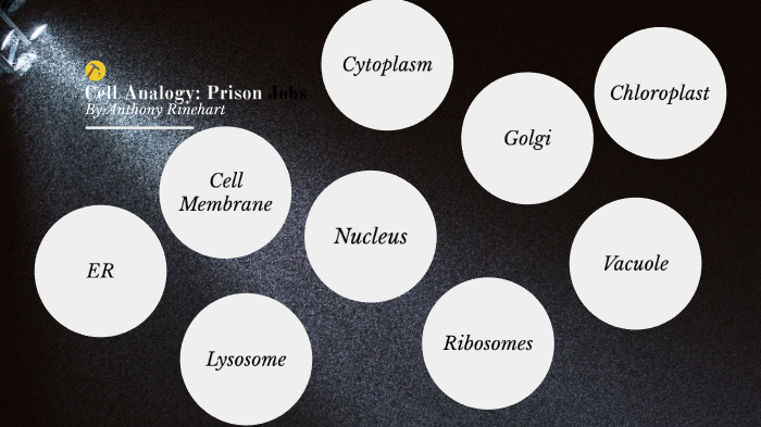 Cell Analogy Prison by Anthony Rinehart on Prezi