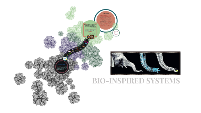 BIO-INSPIRED SYSTEMS by İrem Şimşek