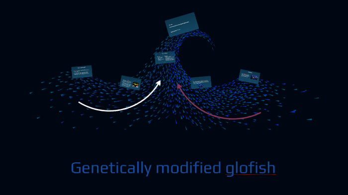 Genetically modified glofish by Kamila Tran on Prezi