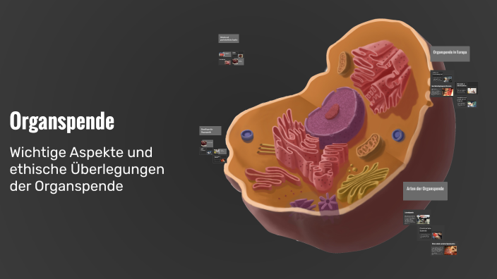 Organspende by Alexandra Lintner on Prezi