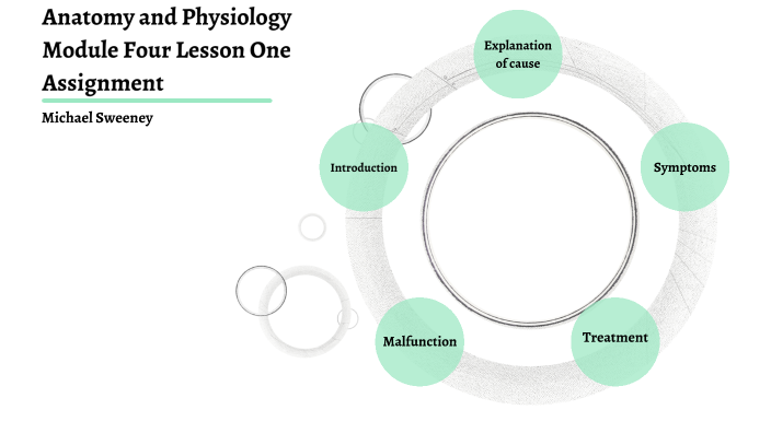 Anatomy and Physiology Module Four Lesson One Assignment Two by Michael ...