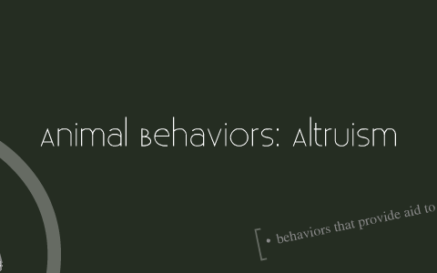 Altruistic Behaviors in Animals by Kelsey Smith on Prezi