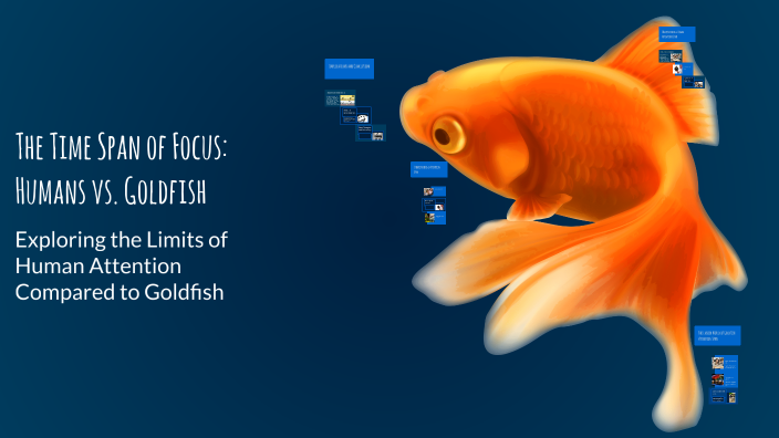The Time Span of Focus: Humans vs. Goldfish by Avani on Prezi
