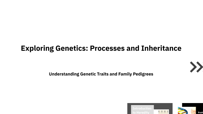 Exploring Genetics: Processes and Inheritance by YaJun He on Prezi