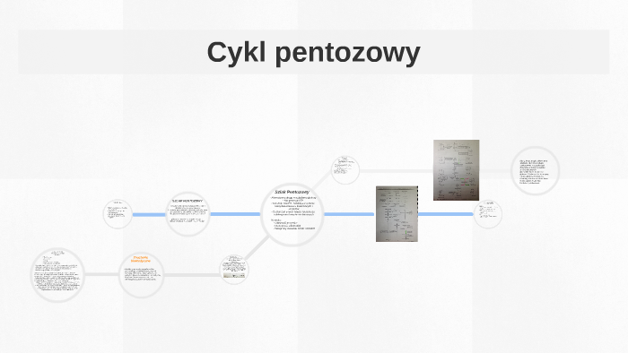 Cykl pentozowy by Tomek Ryx on Prezi