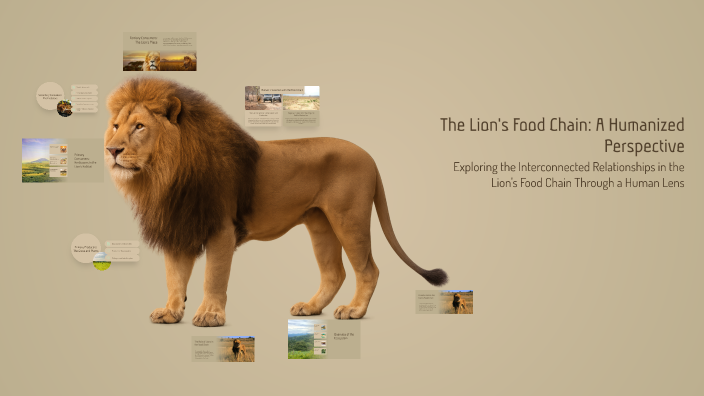 The Lion's Food Chain: A Humanized Perspective by Jaiden Jean Baptiste ...
