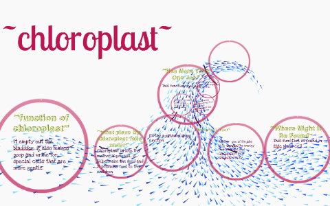 ~chloroplast~ by jasmine meeks