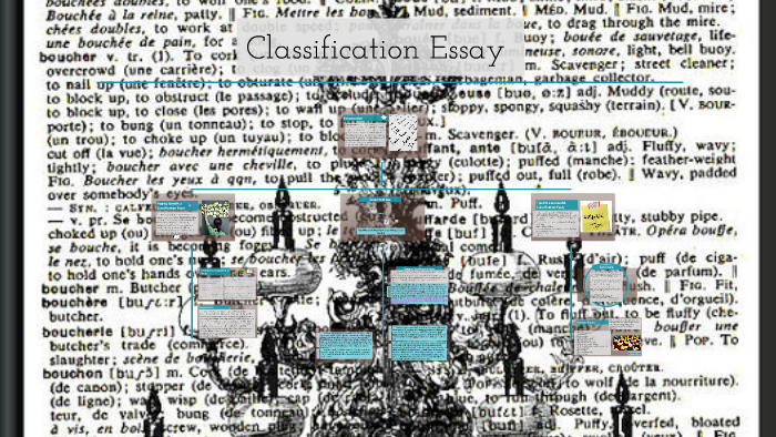 Classification & Division Essay by Michelle Lopez on Prezi