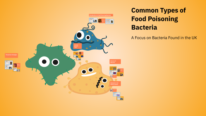 Common Types of Food Poisoning Bacteria by on Prezi