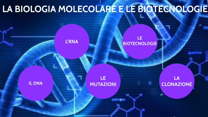 IL DNA by LEONARD IFRIM on Prezi