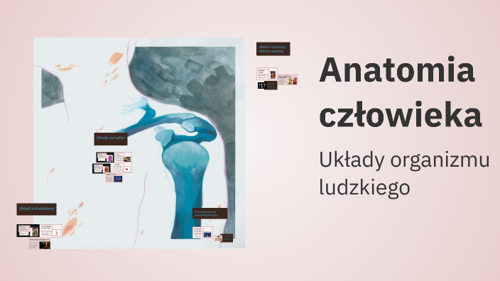 Anatomia Człowieka By Michalina Osowska On Prezi