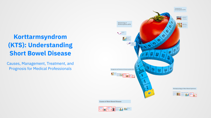 Korttarmsyndrom (KTS): Understanding Short Bowel Disease by Michel ...