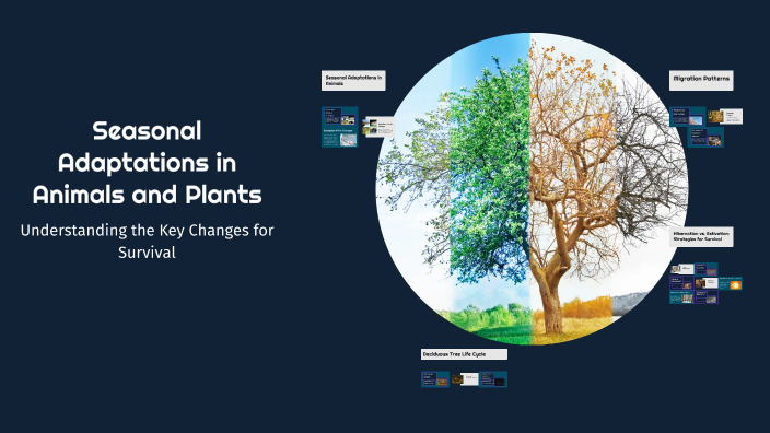 Seasonal Adaptations in Animals and Plants by alex ebrahimians on Prezi