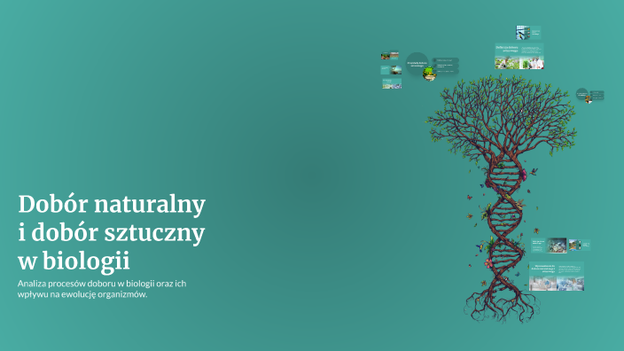 Dobór naturalny i dobór sztuczny w biologii by Zuzia Nawrot on Prezi