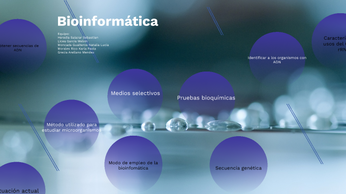 Actividad 5. Bioinformática by Natalia Moncada on Prezi