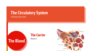 Circulatory System by Caleb Pagan on Prezi Design