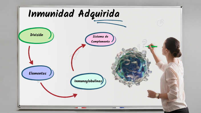 Inmunidad adaptativa by Juvelys Lámbiz on Prezi