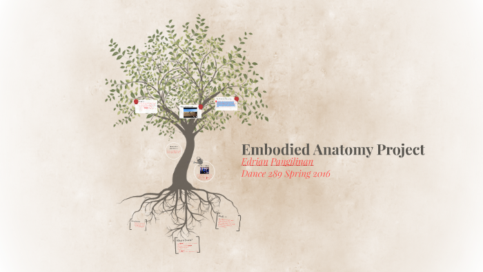 Embodied Anatomy by Edrian Pangilinan
