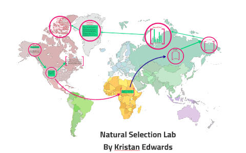 Natural Selection Lab by kristan edwards on Prezi