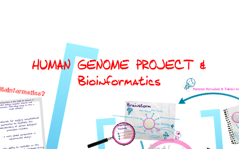 Human Genome Project/ Bioinformatics by Tumaz RHbill on Prezi