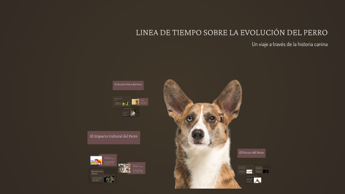 LINEA DE TIEMPO SOBRE LA EVOLUCIÓN DEL PERRO by SIRLEY ALDERY ARTIAGA ...