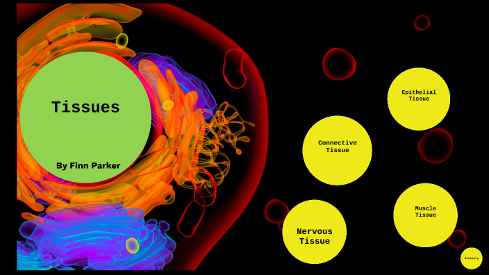 Tissue Project by Finn Parker on Prezi