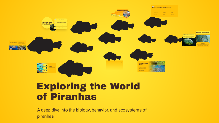 Exploring the World of Piranhas by a b on Prezi