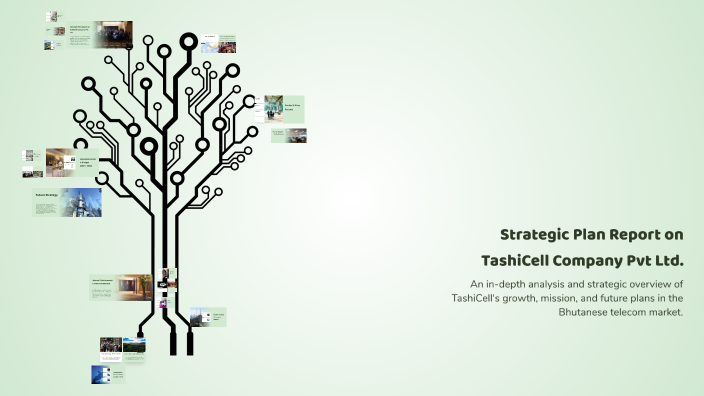 Strategic Plan Report on TashiCell Company Pvt Ltd. by Pema Rigzin ...