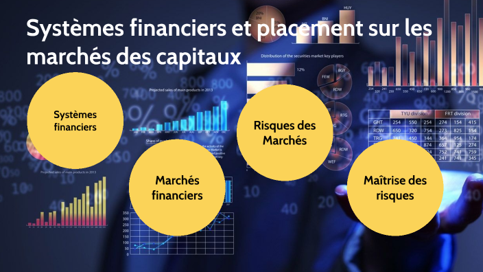 Systémes financiers et placement sur les marchés des capitaux by pierre ...