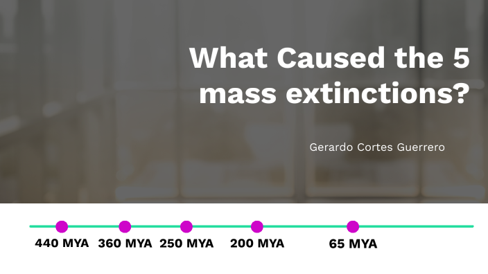 How did the 5 mass extinctions affect the Environment? by Gerardo ...