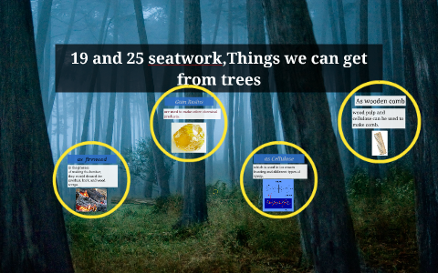 19 & 25 ( Things that we can get from trees) by grade 7 st. therese on ...