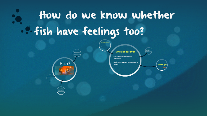 How do we know whether fish have feelings too? by Freya J on Prezi