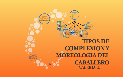 TIPOS DE COMPLEXION Y MORFOLOGIA DEL CABALLERO by on Prezi
