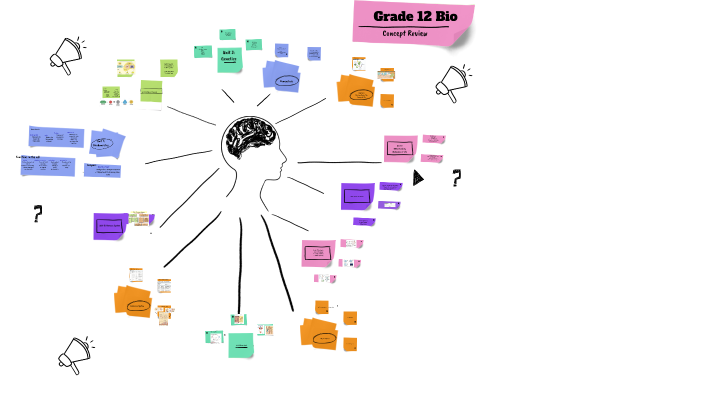 Grade 12 Biology MindMap by maryam ahmed on Prezi